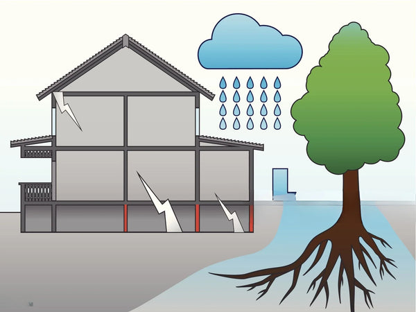 Sustainable Foundation Solutions: Building a Greener, Safer Future ...