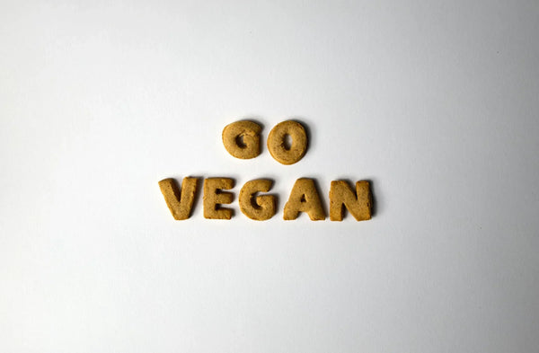 Sweet and Sustainable: Elevating Your Eco Kitchen with Whipped Delights ...