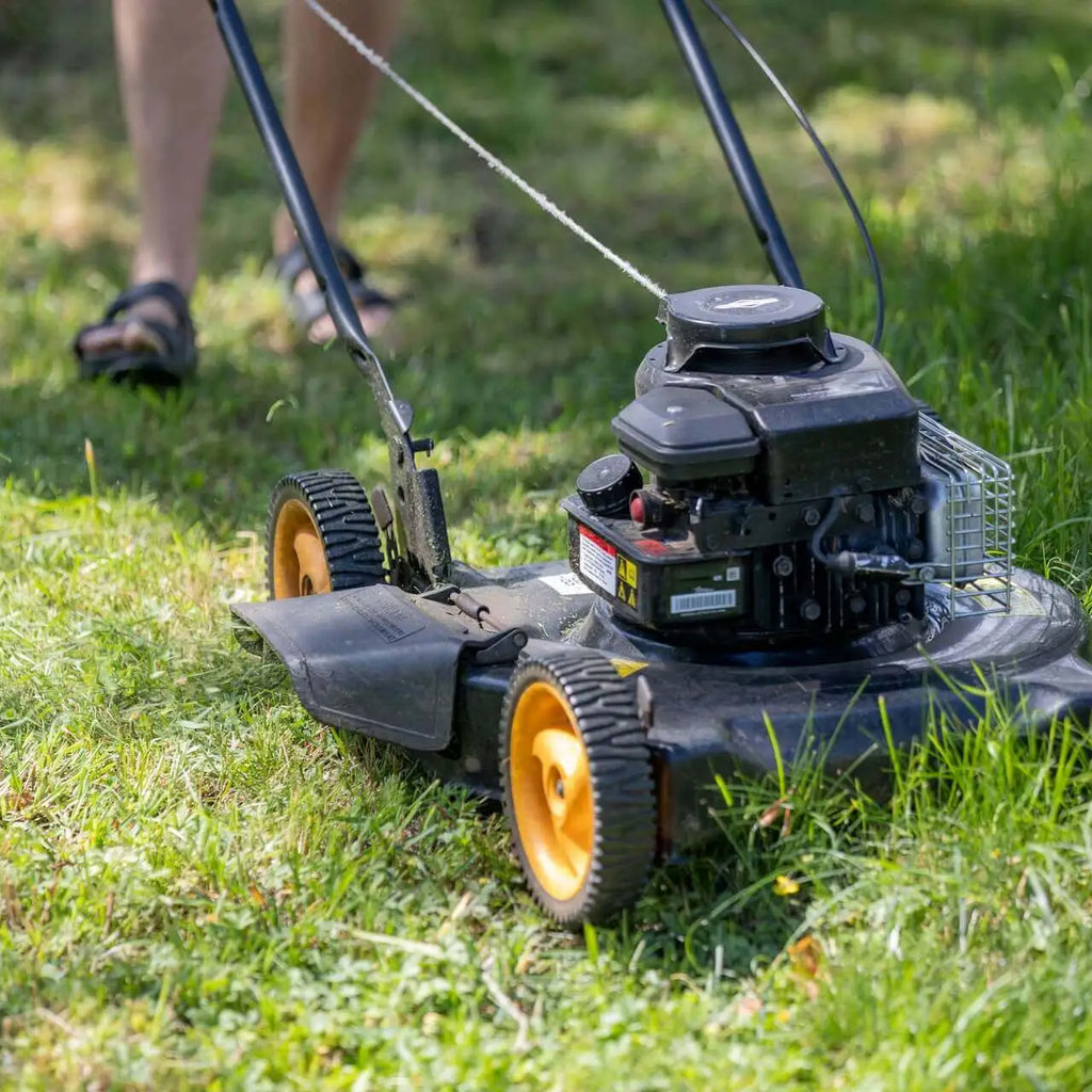 The Essential Yard Cleanup Equipment You Need for a Pristine Lawn ...