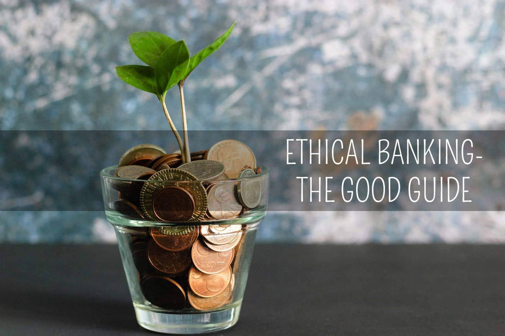 Ethical Banking - The Good Guide | EcoBlog | Friendly Turtle – The ...